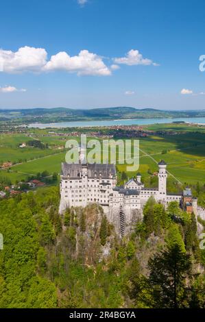 Neuschwanstein Castle with Forggensee, Fuessen, Bavaria, Germany Stock ...