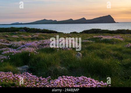 THE THREE SISTERS IN KERRY IRELAND Stock Photo - Alamy