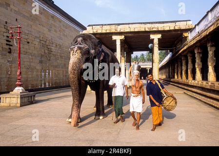 The priest carrying the holy water of river Kollidam on his head along ...