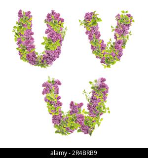 3D rendering of Lilac flowers capital letters alphabet - letters A-D ...