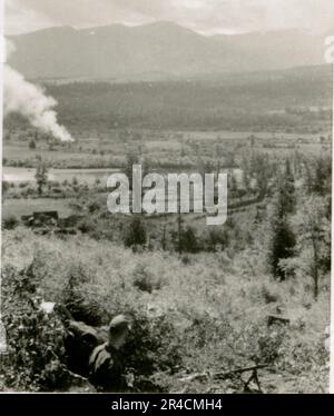 SS Photographer Willi Altstadt, Wiking Division, Russia 1942. Rostov ...