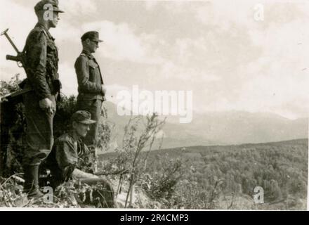 SS Photographer Willi Altstadt, Wiking Division, Russia 1942. Rostov ...