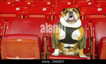USMC Navajo Code Talkers of the 3rd and 4th Division Navajo code talker ...