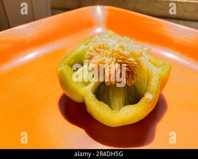 closeup view of half cut capsicum for multipurpose use of projects ...
