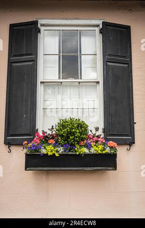 Close up of the color windows of a colonial era home in Charleston ...