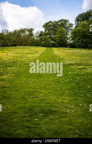 Surrey Hills, designated as Area of Outstanding Natural Beauty, Surrey ...