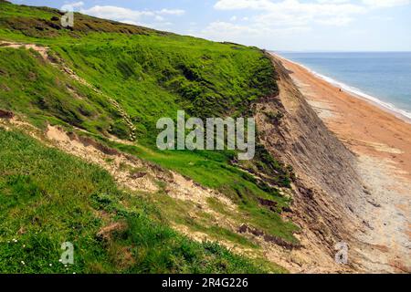 The sandstone cliffs continue to slump and spill onto the beach east of ...