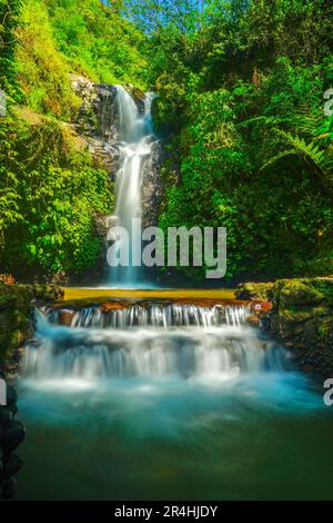 Long exposure photo of Tirto Weni Waterfalls located in Ungaran ...