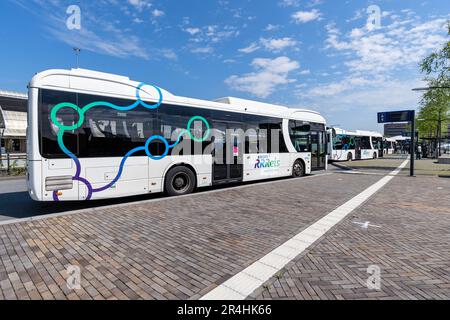 RRReis BYD electric busses at Zwolle Centraal bus station Stock Photo ...