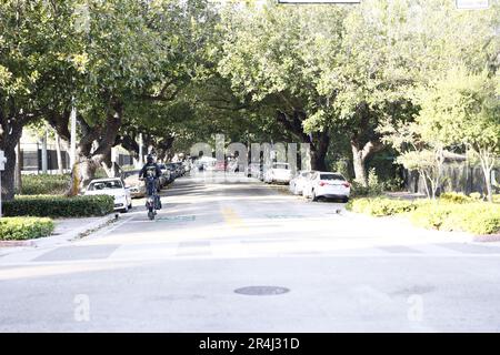 Shade trees is Miami beach focus for future because global warming ...