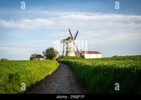 Windmill in Ninove, Denderstreek, East Flanders, Belgium Stock Photo ...