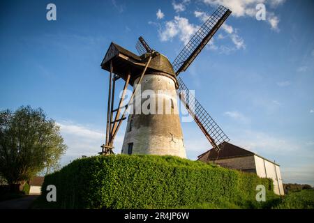Windmill in Ninove, Denderstreek, East Flanders, Belgium Stock Photo ...