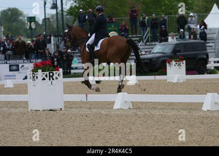 Rolex Grand Stadium during the Dressage event of the Land Rover ...