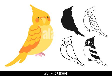 How To Draw A Cockatiel Step By Step