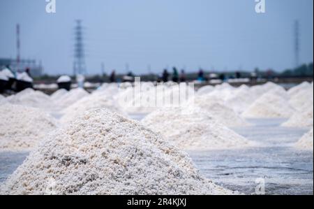 Sea salt farm and blur worker working on farm. Brine salt. Raw material ...