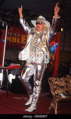 1995Jeff Jarrett John Barrett/PHOTOlink / MediaPunch Stock Photo - Alamy