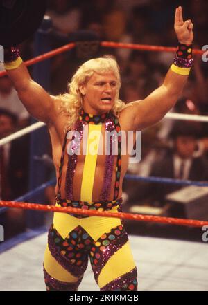 1994Jeff Jarrett John Barrett/PHOTOlink / MediaPunch Stock Photo - Alamy