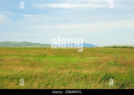Endless hilly steppe with tall grass under a cloudy summer sky ...