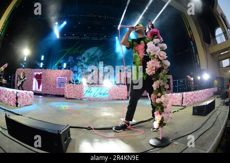 BOCA RATON - MAY 27: Joey Bradford, Dan Whitesides, Bert McCracken and ...