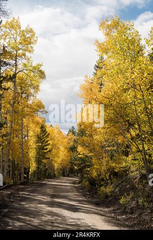 Ivanhoe Lake Road east of Chapman Reservoir in the early autumn, late ...