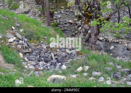 Greece, Thessaly, Larisa, Elassona Flampouro village Old watermill ...