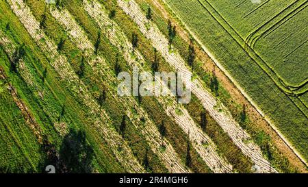 Agricultural fields, Isere valley, Drome, France Stock Photo - Alamy