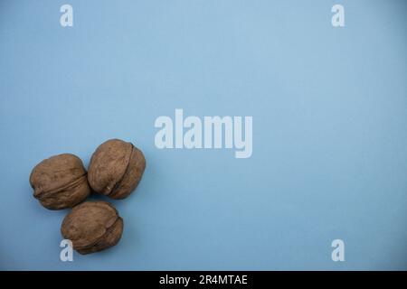 Three walnuts in shell, photographed from above, placed on a blue ...