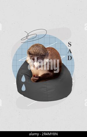 Poster collage sketch weird image of little stressed depressed monkey ...