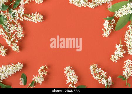 bird cherry blossom branch on abstract blurred background Stock Photo ...