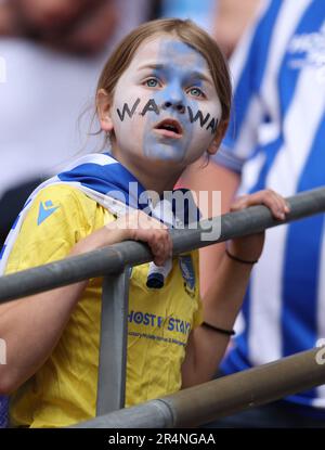 A fan of Sheffield Wednesday Stock Photo - Alamy