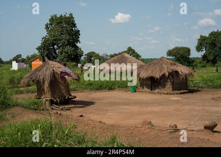 Adobe mud huts with grass roofs, Gulu, Northern Uganda, africa Stock ...