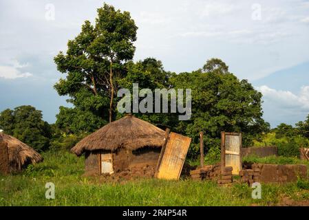 Adobe mud huts with grass roofs, Gulu, Northern Uganda, africa Stock ...