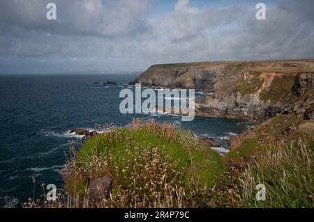 View from Godrevy Looking over Mutton Cove and East towards Naval point ...