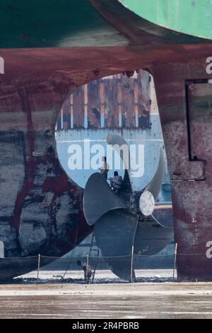 Ship breaking outside of Chittagong/Chattogram, Bangladesh Stock Photo ...