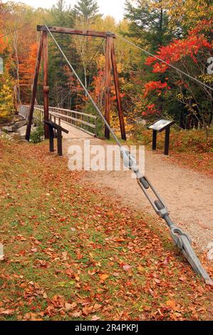 Autumn foliage on rustic white wood in filled frame layout Stock Photo ...