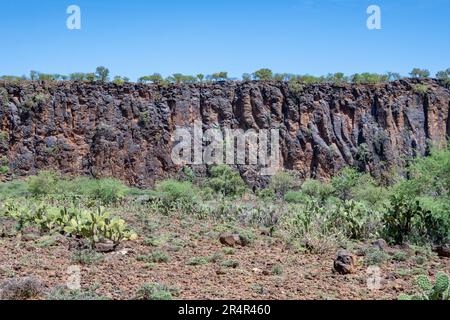 Precambrian metamorphic rocks exposed along East African Rift Valley ...