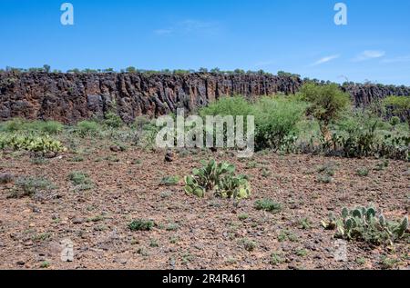 Precambrian metamorphic rocks exposed along East African Rift Valley ...