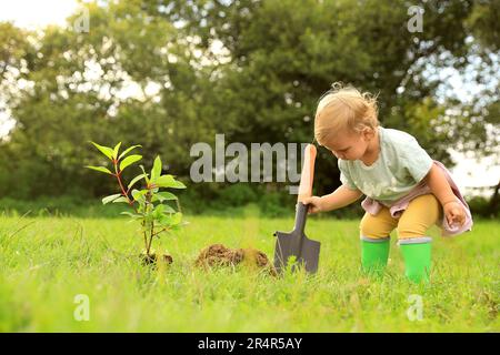Cute baby girl planting tree in garden Stock Photo - Alamy