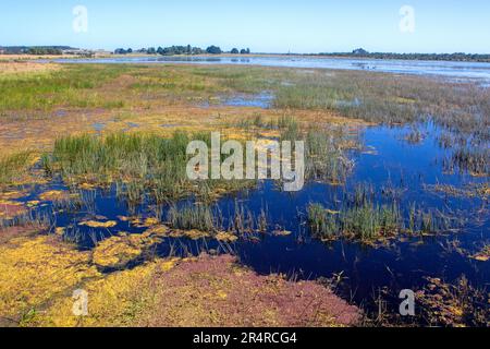 Lake Condah (Tae Rak), part of the World Heritage-listed Budj Bim ...
