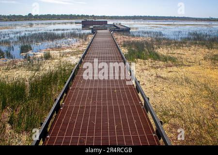 Metal walkway at the Tae Rak Agricultural Centre on Lake Condah, part ...
