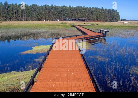 Metal walkway at the Tae Rak Agricultural Centre on Lake Condah, part ...