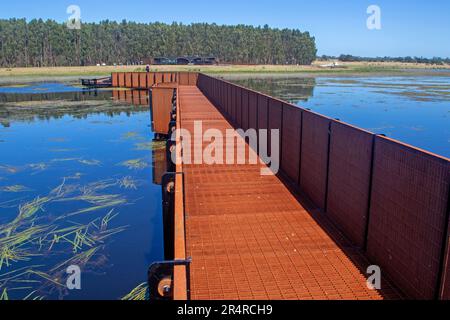 Metal walkway at the Tae Rak Agricultural Centre on Lake Condah, part ...