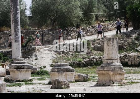 Nablus, Palestine. 29th May, 2023. Foreign tourists seen riding camels ...