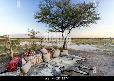 Private Bush Dinner at Onguma Game Reserve, Namibia, Africa Stock Photo ...