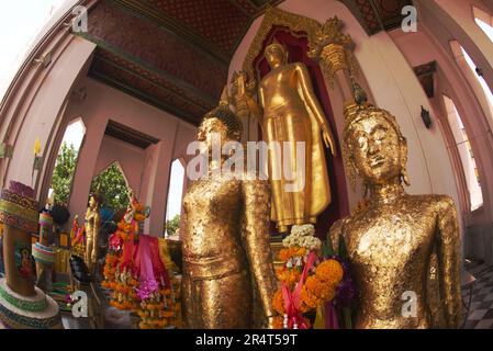 Phra Ruang Rojanarit and several standing Buddha images Gold at Wat ...