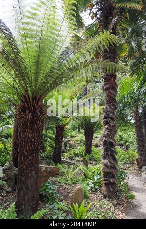 The Fern Dell and Pets Cemetery in the corner of the formal gardens at ...