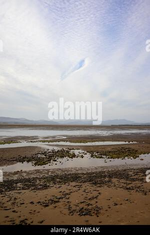 Coastal landscape across Duddon Estuary with seaweed in the foreground ...