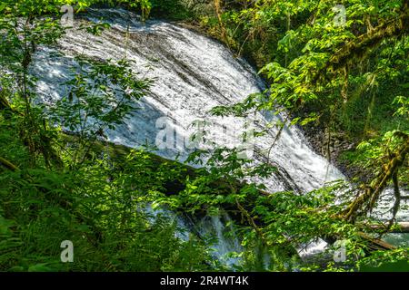 A landscape shot of Drake Falls at Silver Falls State Park in Oregon ...