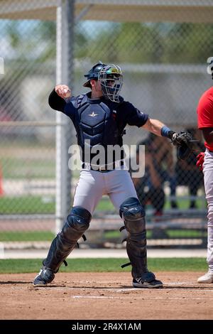 Minnesota Twins catcher Kyle Schmidt (65) during an Extended Spring ...