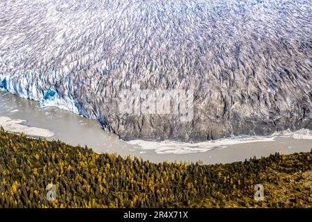 Aerial view of the glaciers of Taku Inlet in Alaska Stock Photo - Alamy